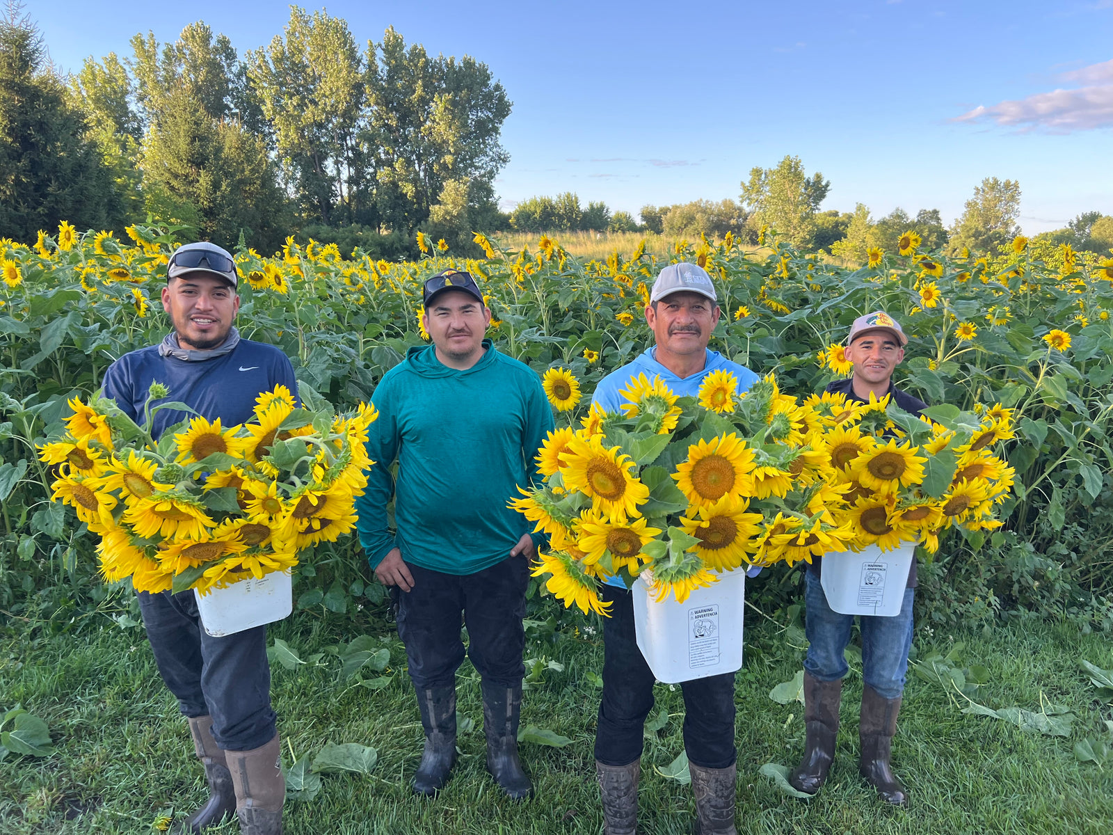 Liberty Prairie