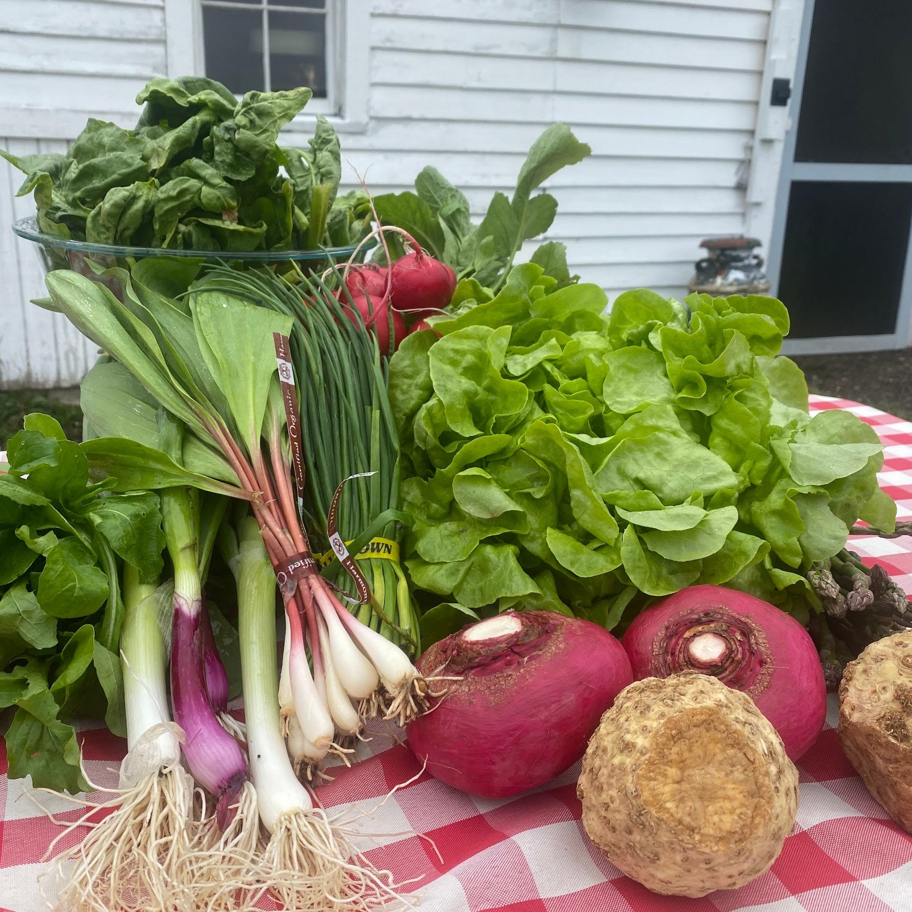 Spring Vegetables (2026) – Liberty Prairie