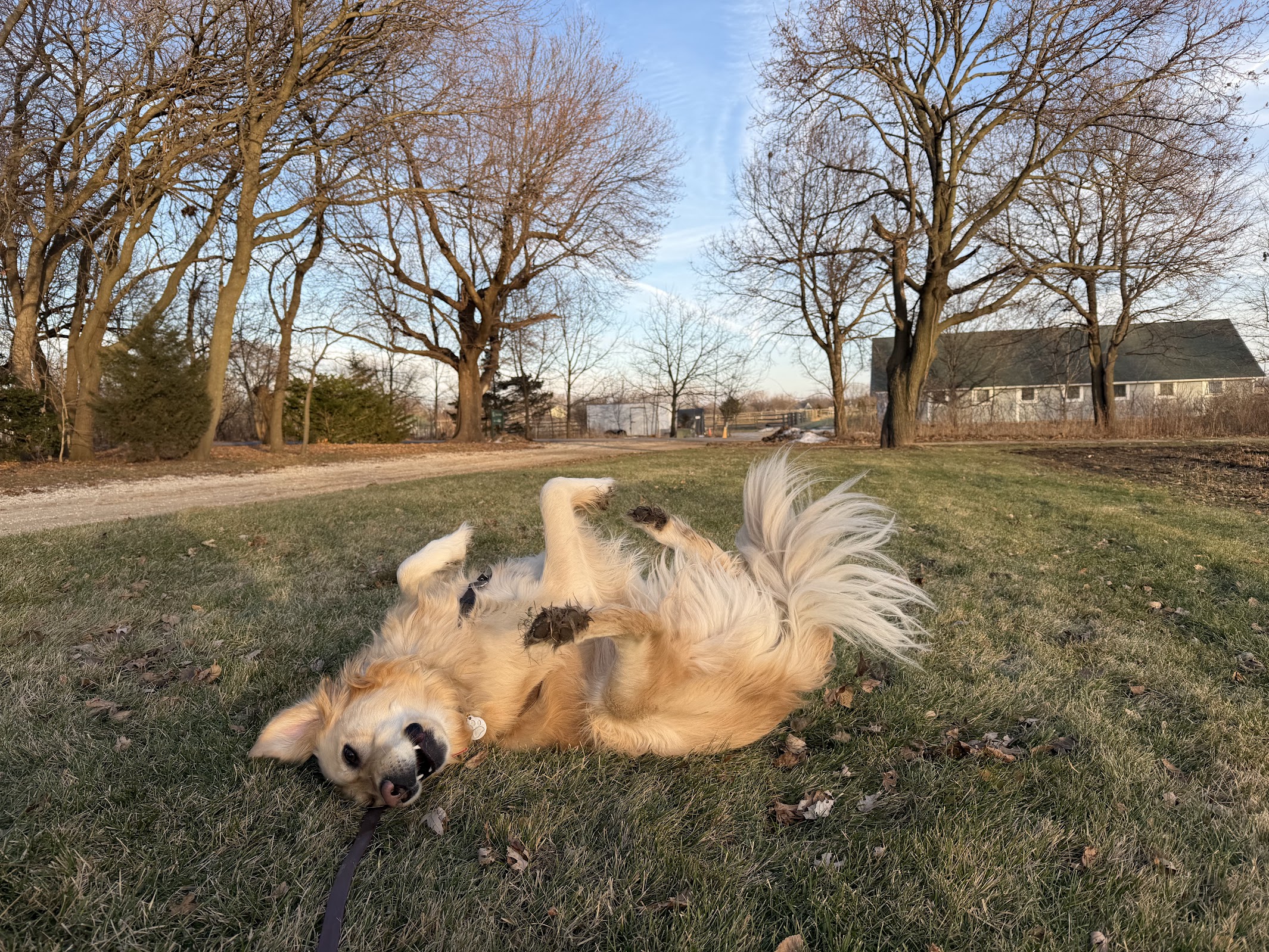 Winter Farm Report - Liberty Prairie